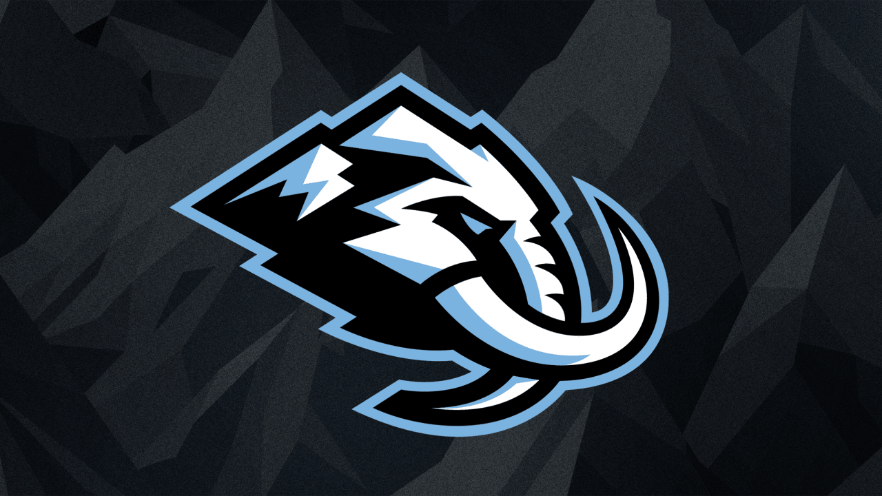 UTAH MAMMOTH | 11.2 – Sandlot Partners